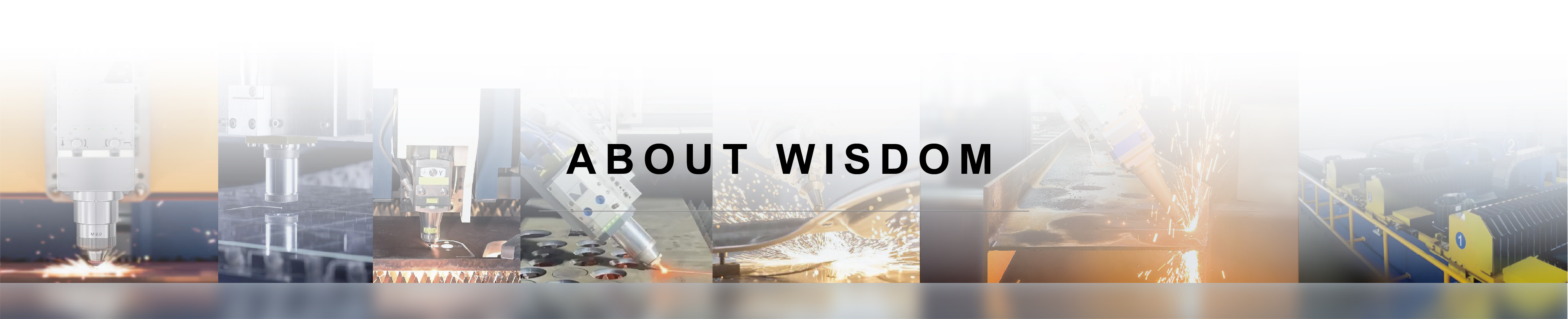 威士登官网-激光控制系统